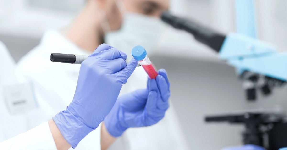 Why Animal Testing Is Necessary and How to Reduce It Why Animal Testing Is Necessary and How to Reduce It